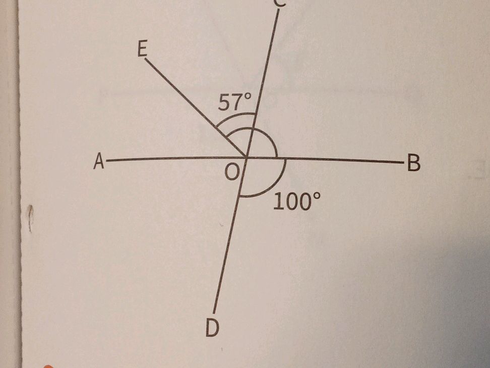 The image shows intersecting lines and | StudyX