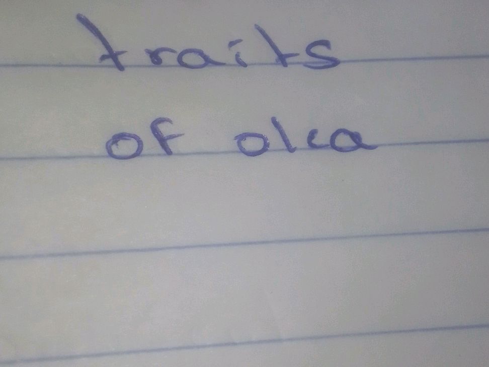 Traits of OLCA | StudyX