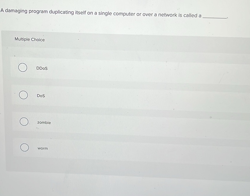 A damaging program duplicating itself on a | StudyX
