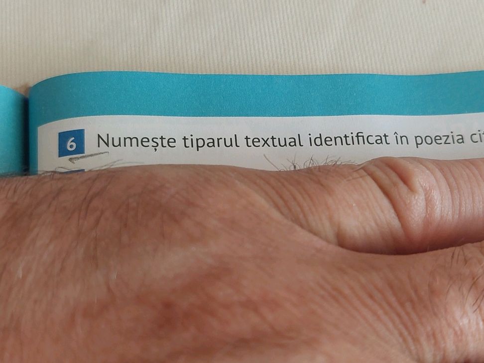 6 Numește tiparul textual identificat în | StudyX