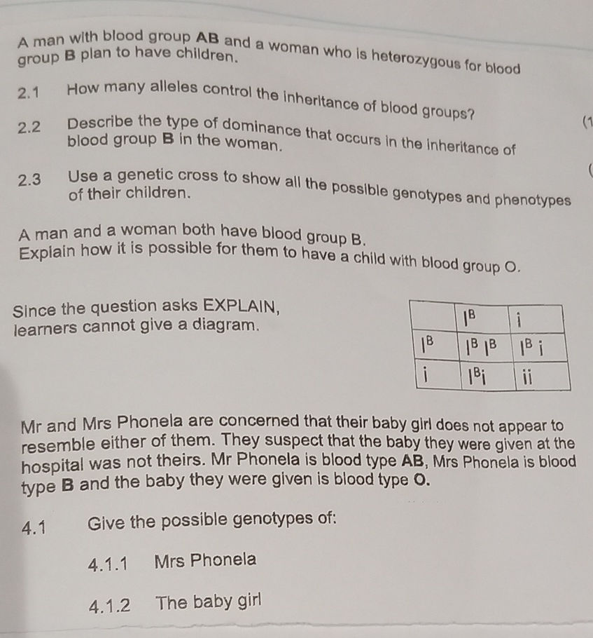 2.1 How many alleles control the inheritance | StudyX