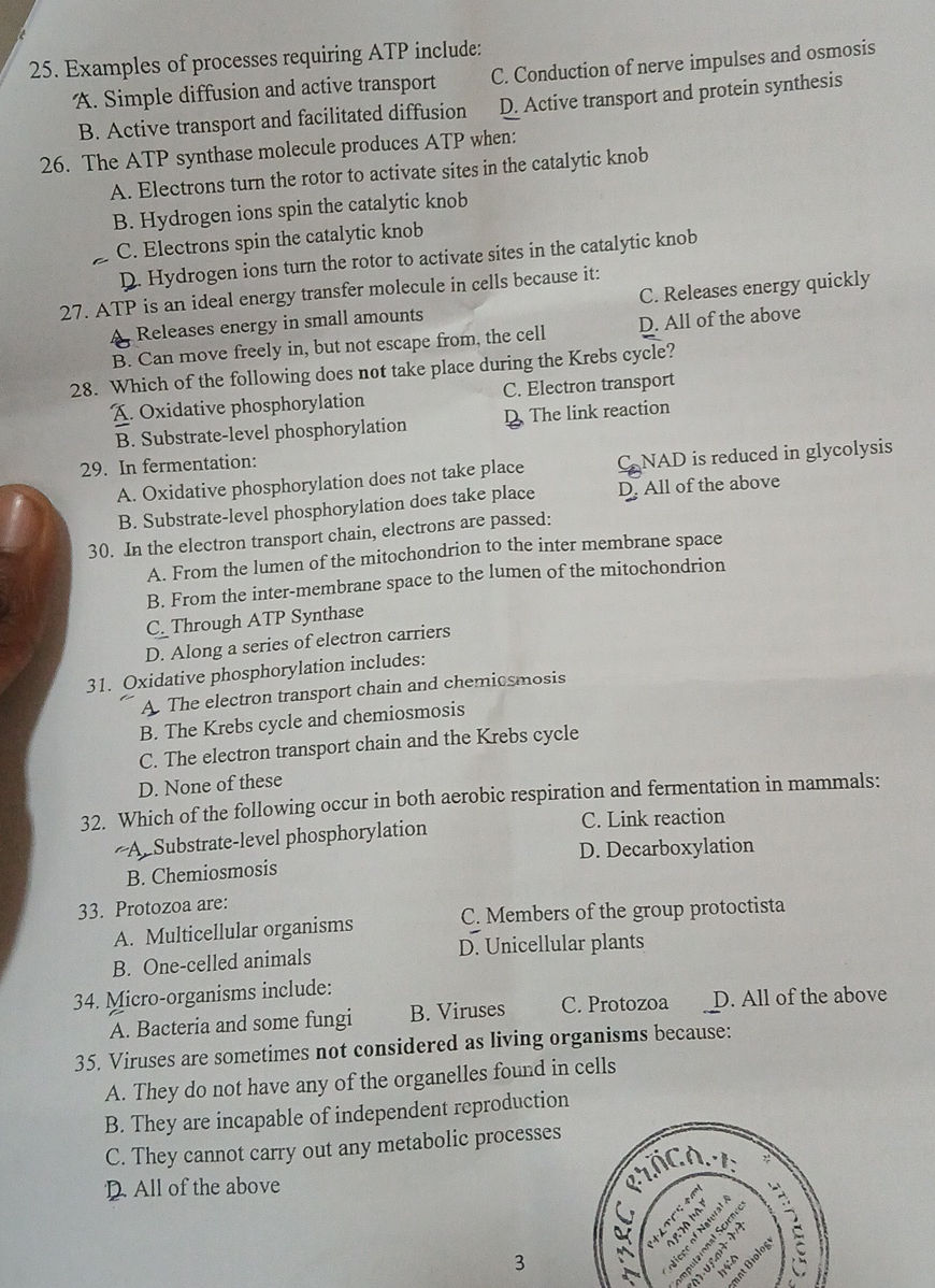 25. Examples of processes requiring ATP | StudyX
