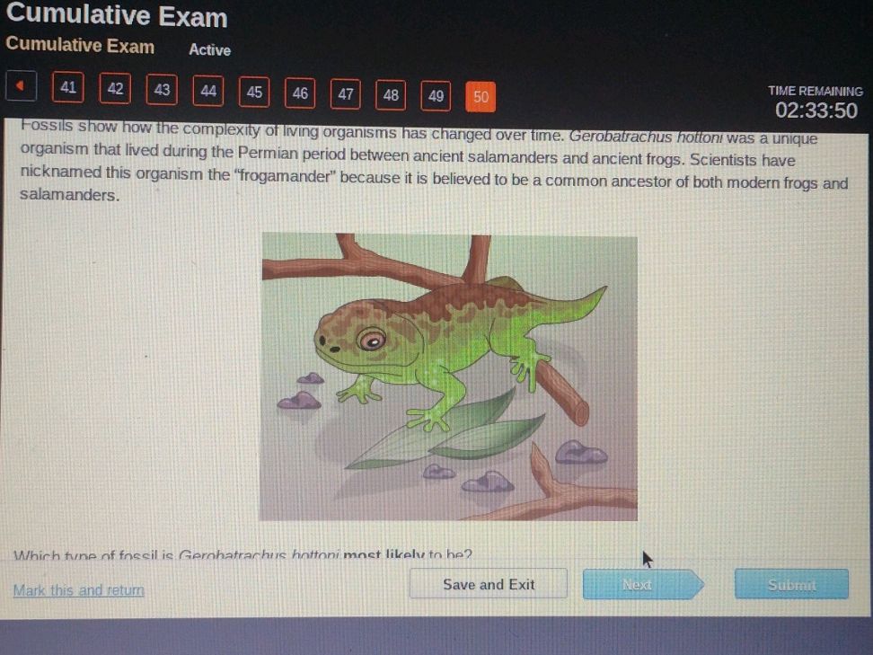 Fossils show how the complexity of living | StudyX