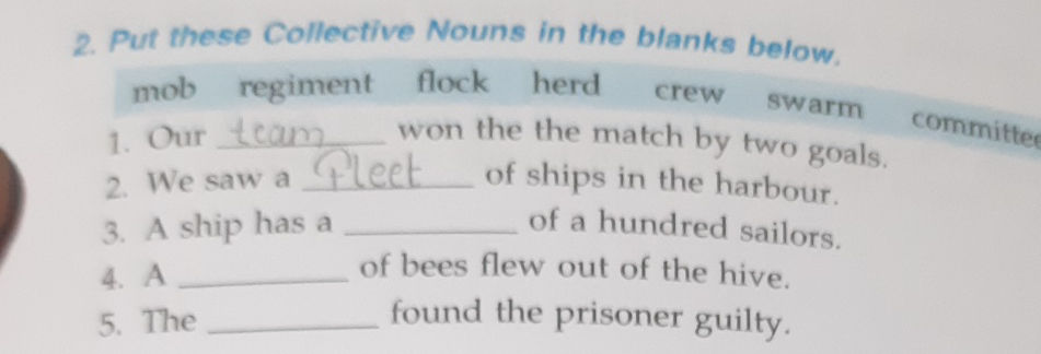 2. Put these Collective Nouns in the blanks | StudyX