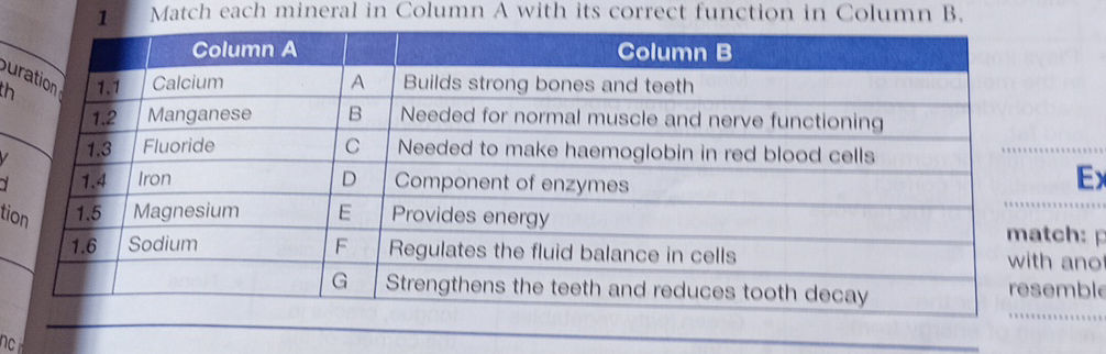 Match each mineral in Column A with its | StudyX