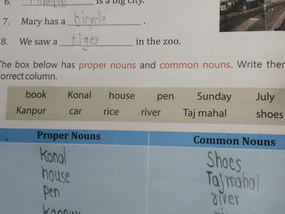 7. Mary has a bicycle. 8. We saw a tiger in | StudyX