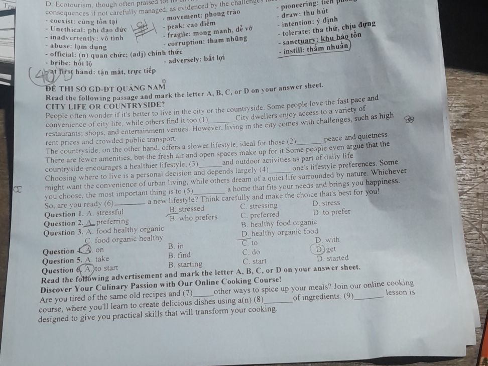 Read the following passage and mark the | StudyX