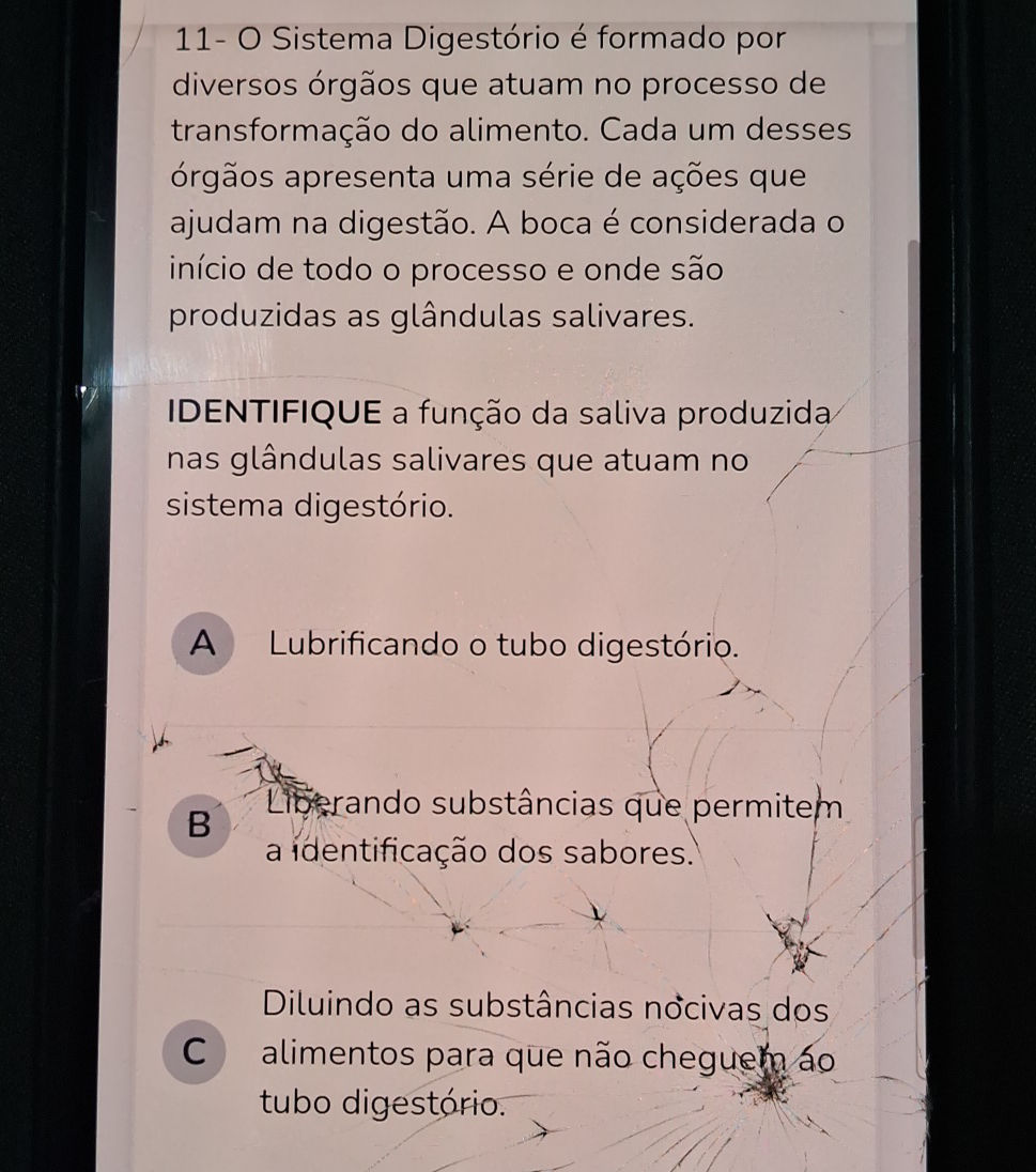 11 - O Sistema Digestório é formado por | StudyX