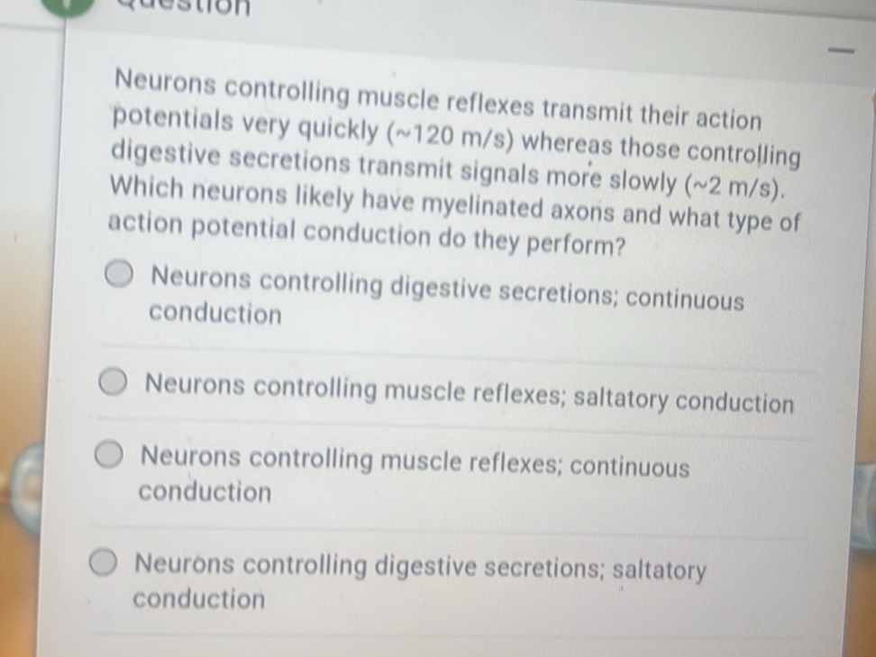 Neurons controlling muscle reflexes transmit | StudyX