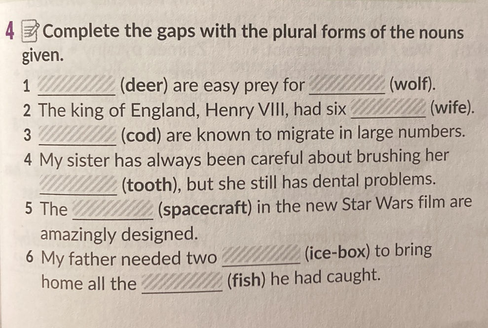 4 Complete the gaps with the plural forms of | StudyX