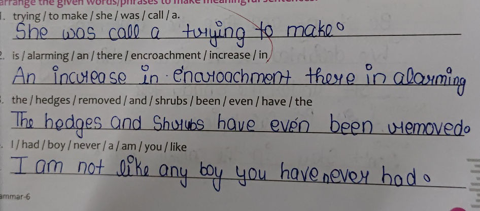 arrange the given words/phrases to make | StudyX