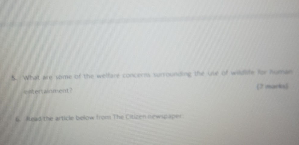 What are some of the welfare concerns