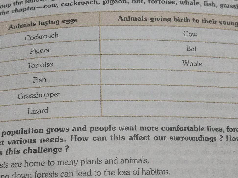 | Animals laying eggs | Animals giving birth | StudyX