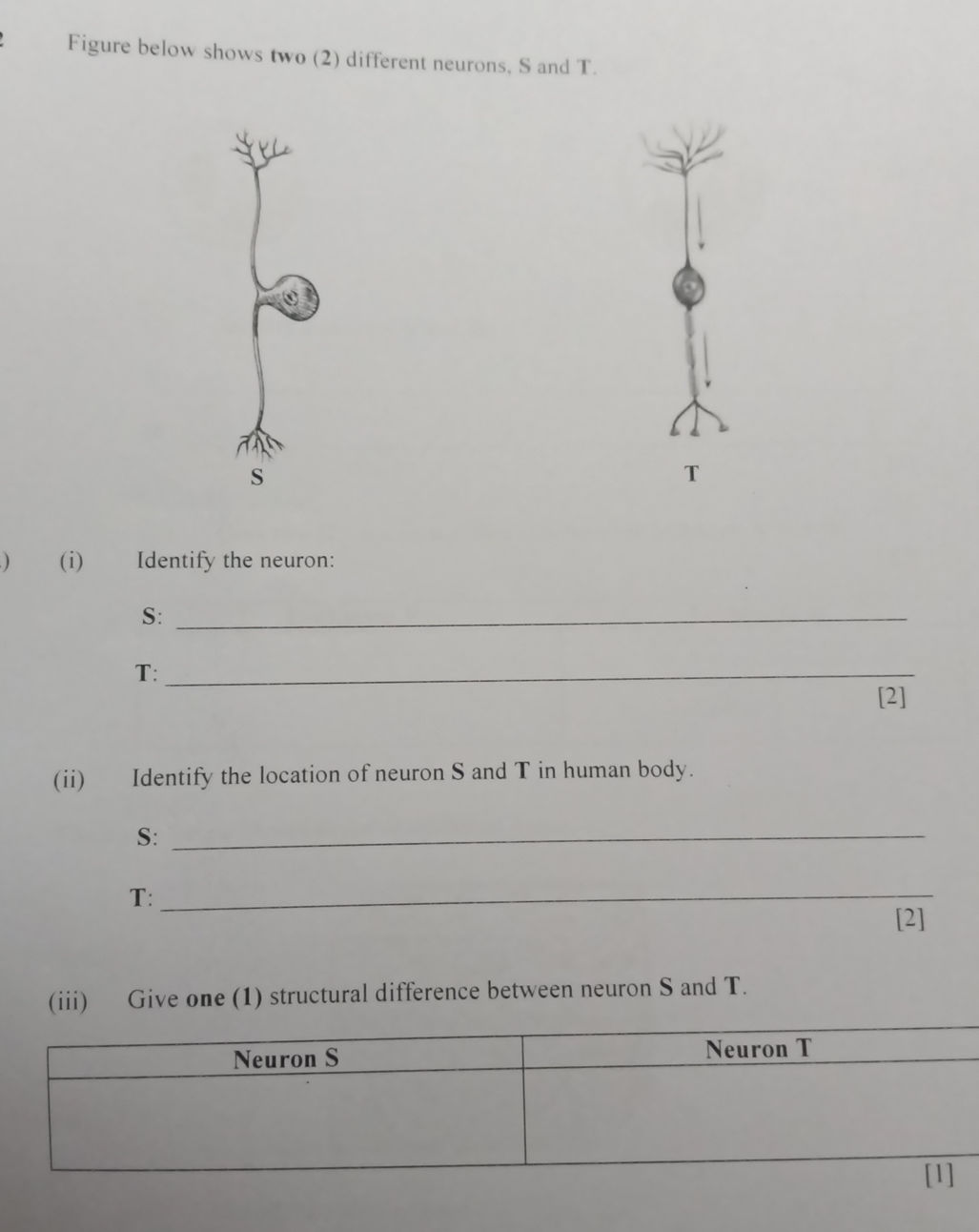 Figure below shows two (2) different | StudyX