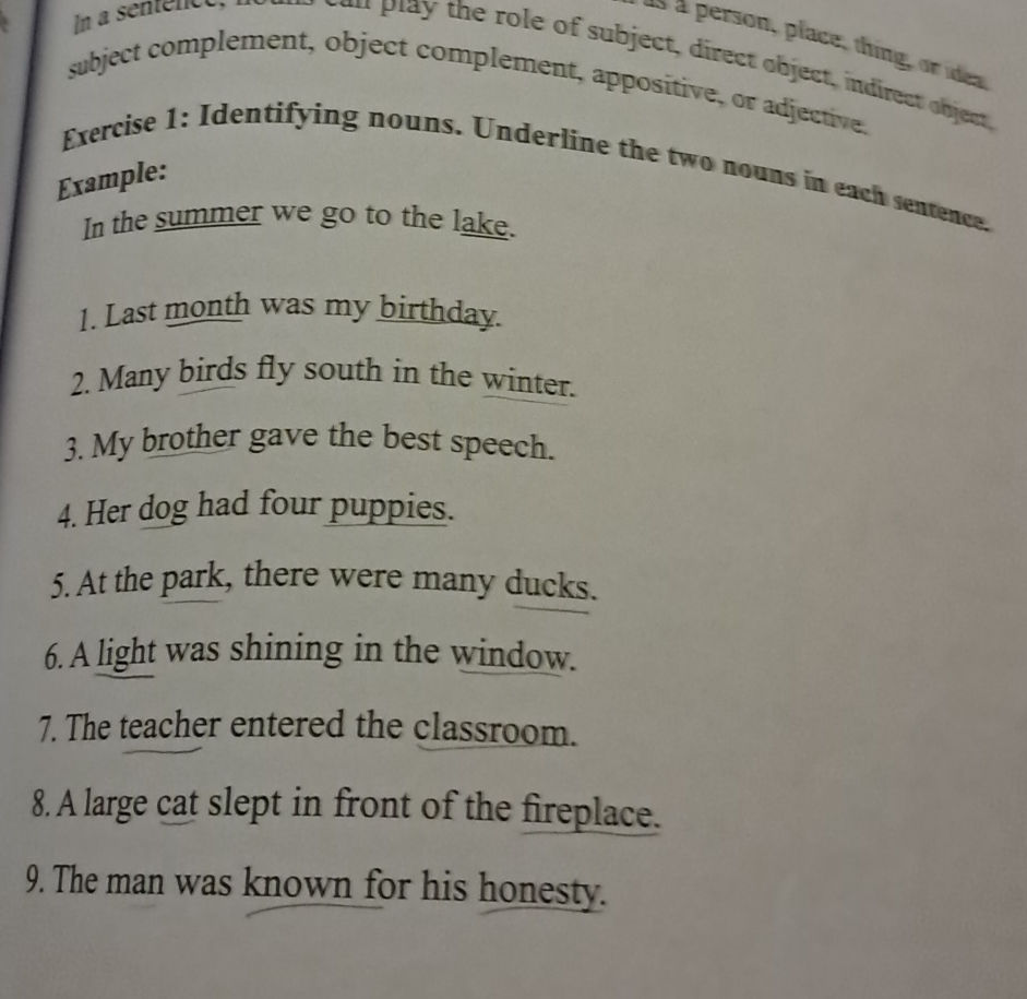 Exercise 1: Identifying nouns. Underline the | StudyX