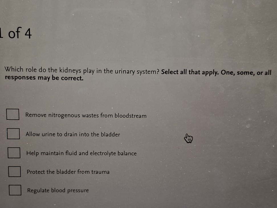 Which role do the kidneys play in the | StudyX