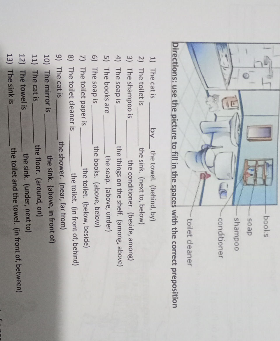 Directions: use the picture to fill in the | StudyX