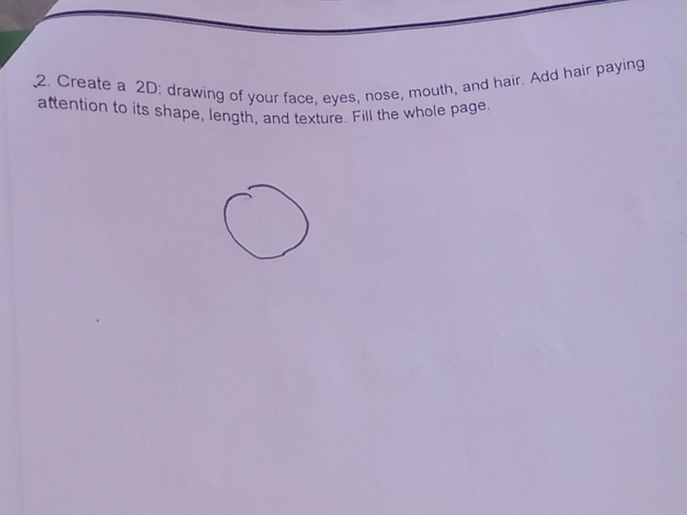 2. Create a 2D: drawing of your face, eyes, | StudyX