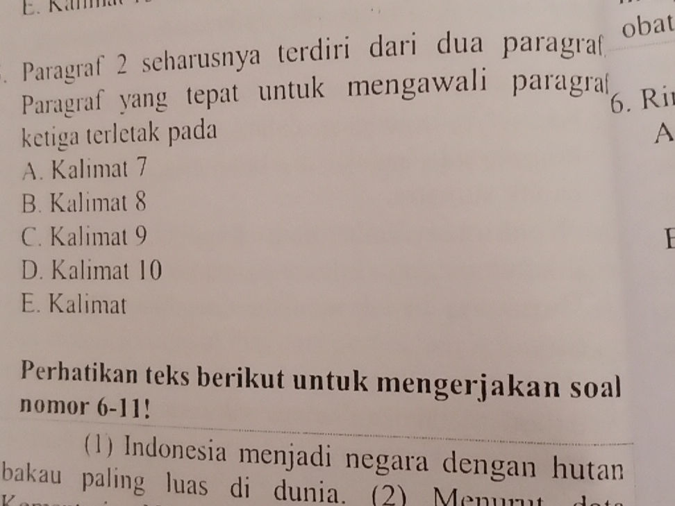 Paragraf 2 seharusnya terdiri dari dua | StudyX