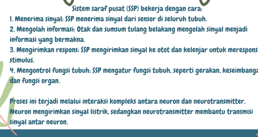 Sistem saraf pusat (SSP) bekerja dengan | StudyX