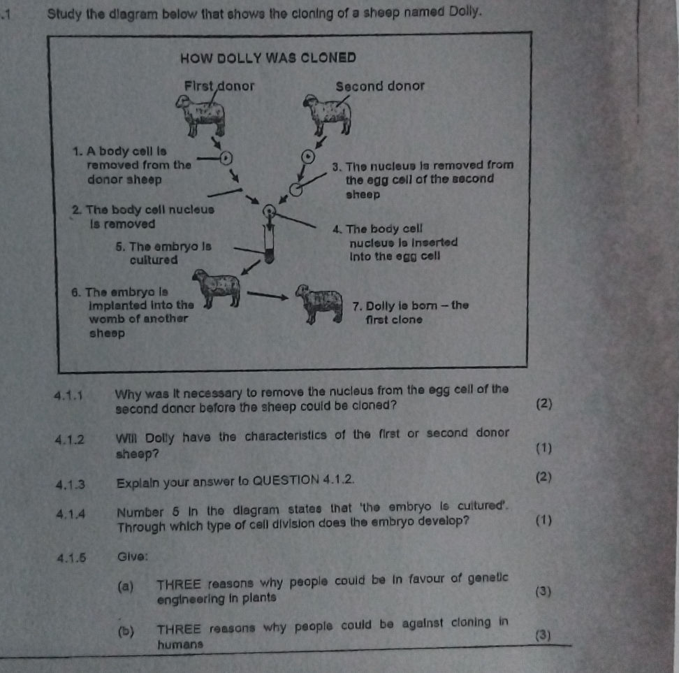 Study the diagram below that shows the | StudyX