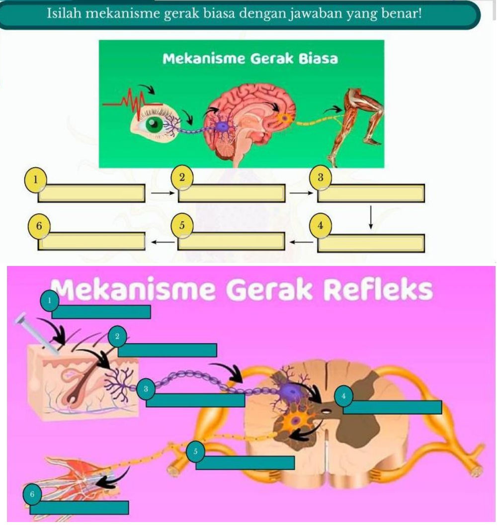 Isilah mekanisme gerak biasa dengan jawaban | StudyX