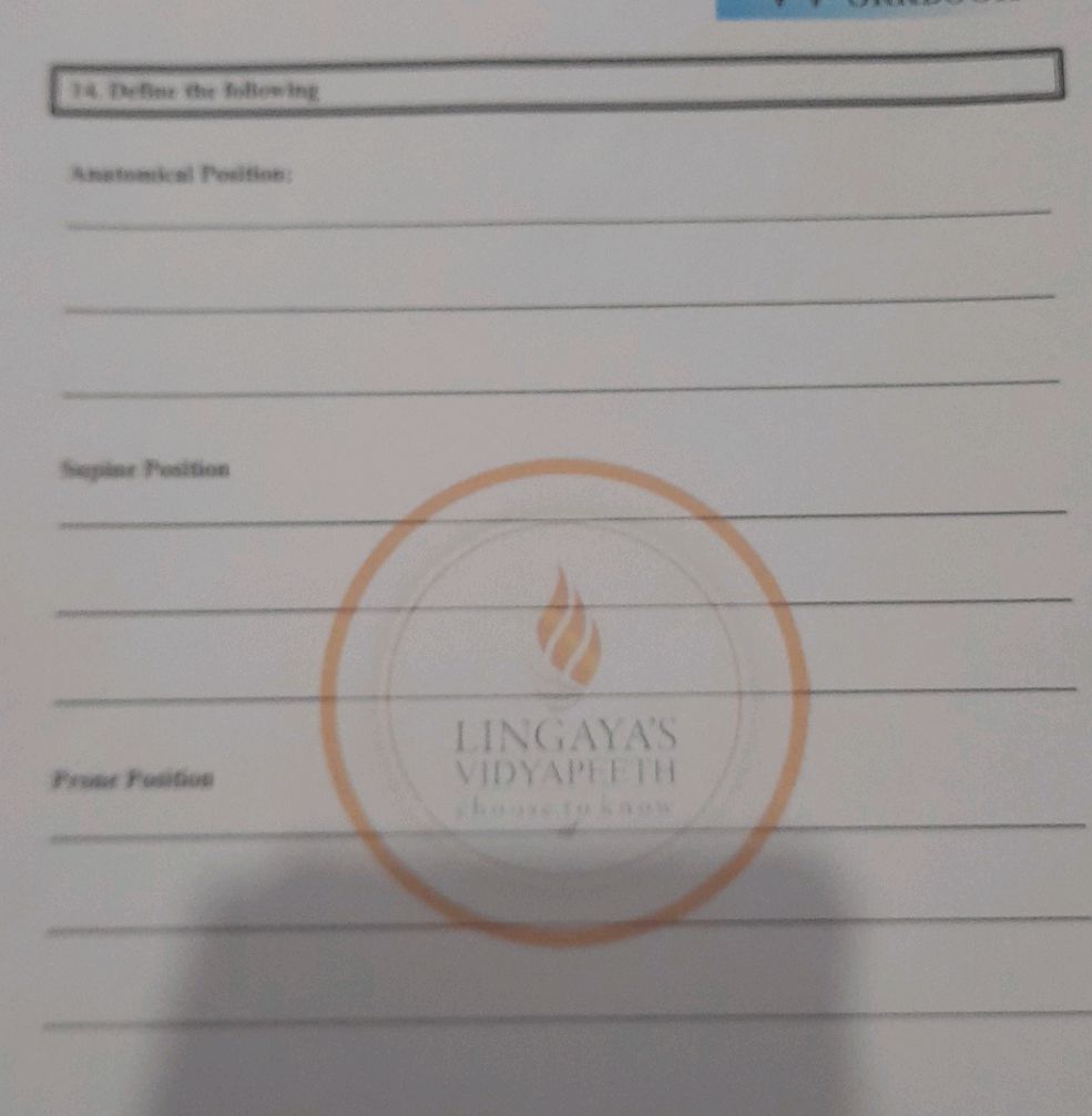 14. Define the following Anatomical | StudyX