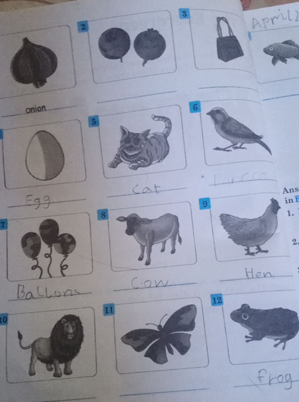 The image contains pictures of various | StudyX