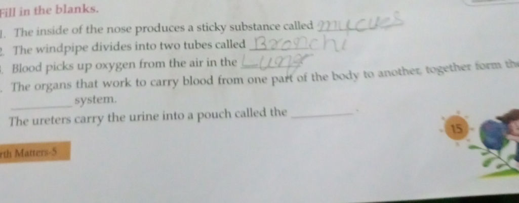 Fill in the blanks. 1. The inside of the | StudyX