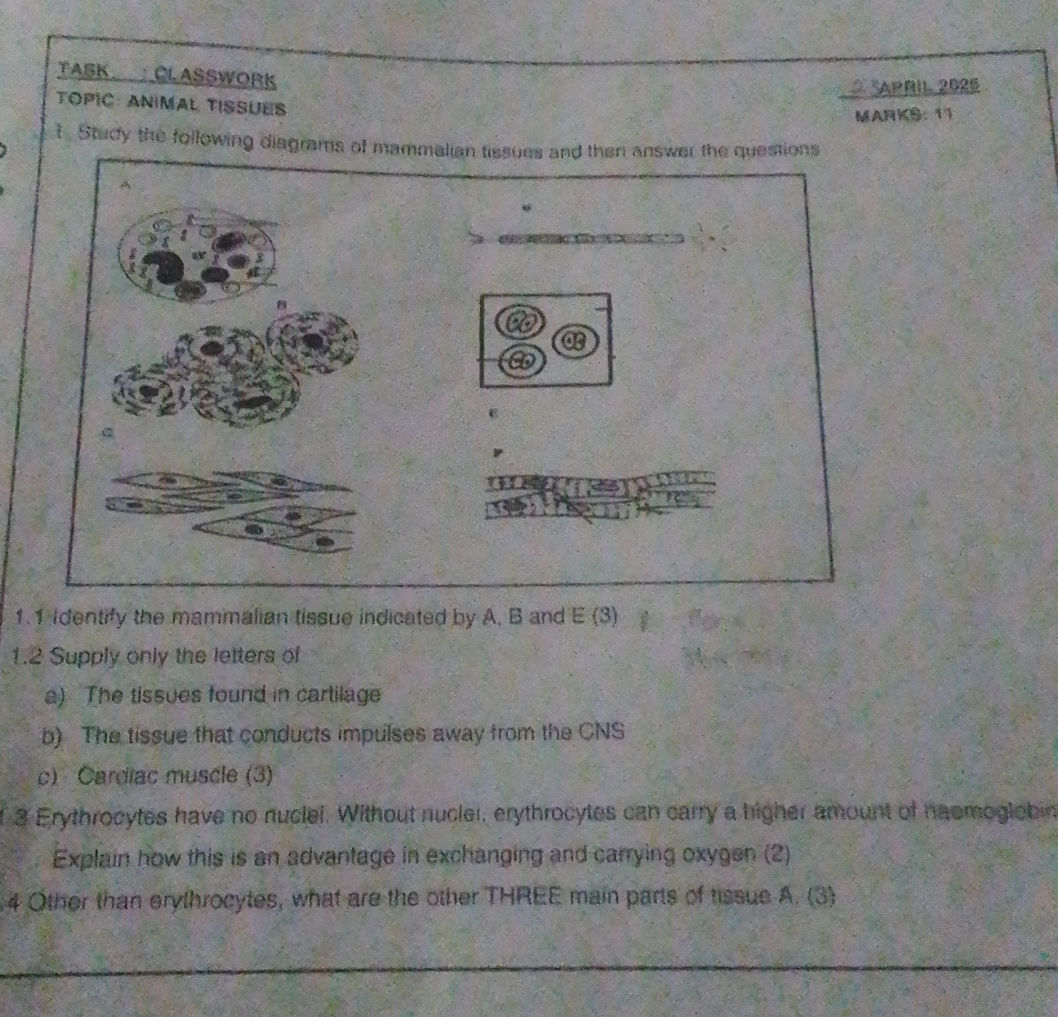 1. Study the following diagrams of | StudyX