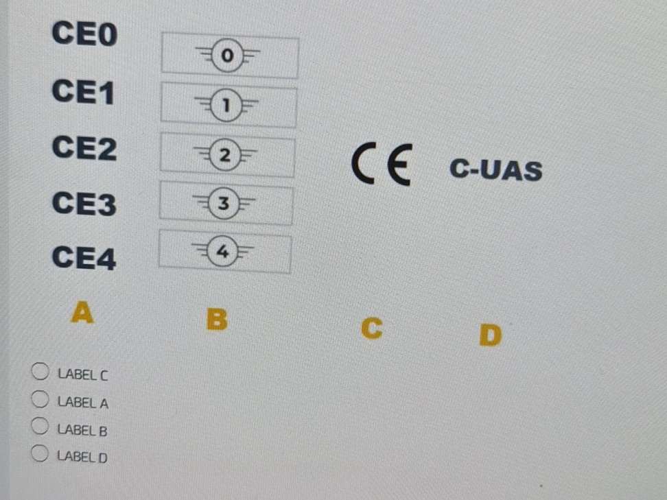 CEO CE1 CE2 CE3 CE4 A B C D LABEL C LABEL A