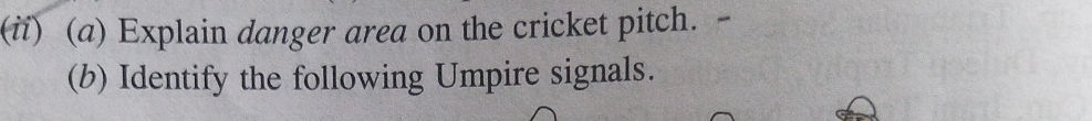 (ii) (a) Explain danger area on the cricket | StudyX