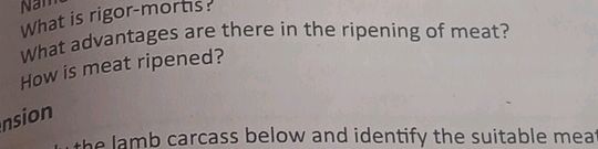 What is rigor-mortis? What advantages are | StudyX