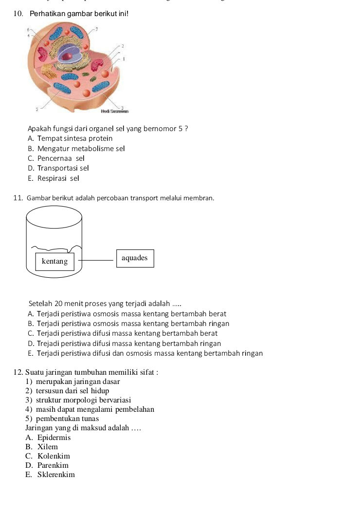 10. Perhatikan gambar berikut ini! Apakah | StudyX