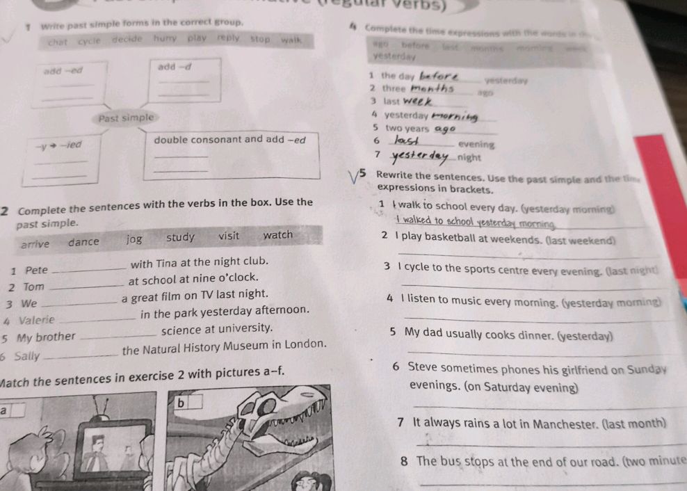 1 Write past simple forms in the correct | StudyX