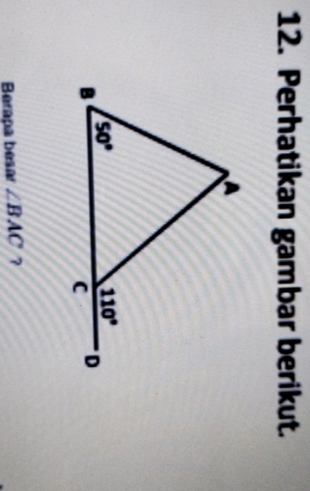 Perhatikan gambar berikut. ``` A / | StudyX