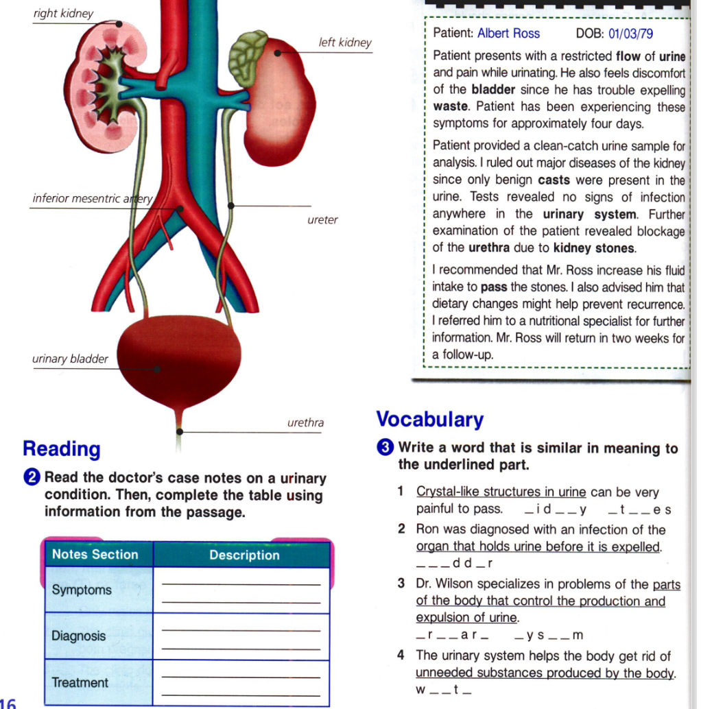 2 Read the doctor's case notes on a urinary | StudyX