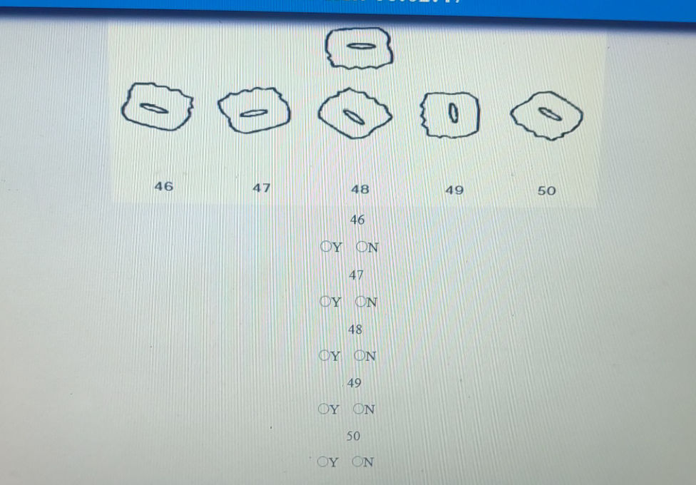 The image contains a series of diagrams and | StudyX