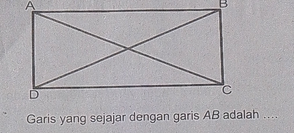 Garis yang sejajar dengan garis AB adalah | StudyX