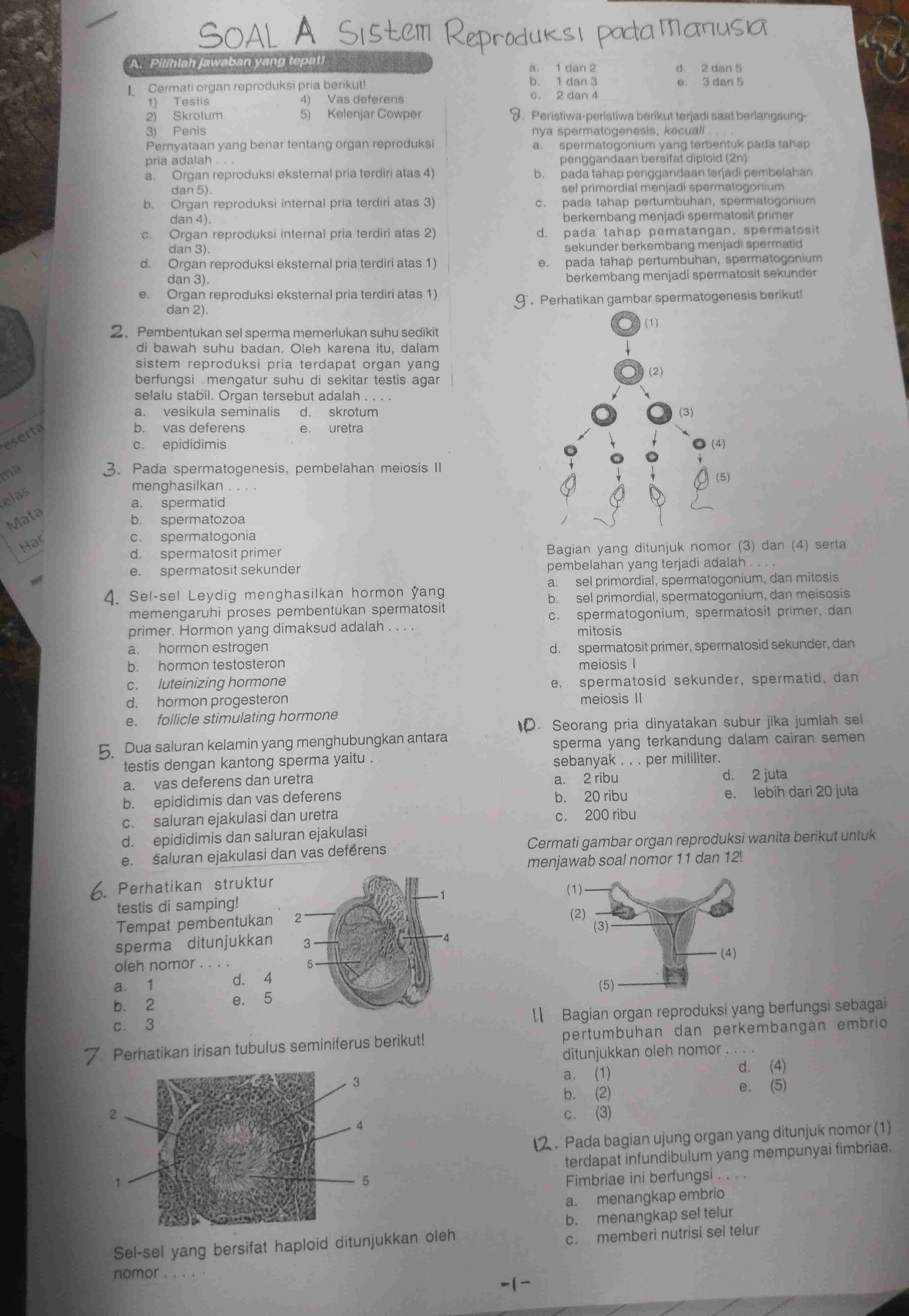 1. Cermati organ reproduksi pria berikut! | StudyX