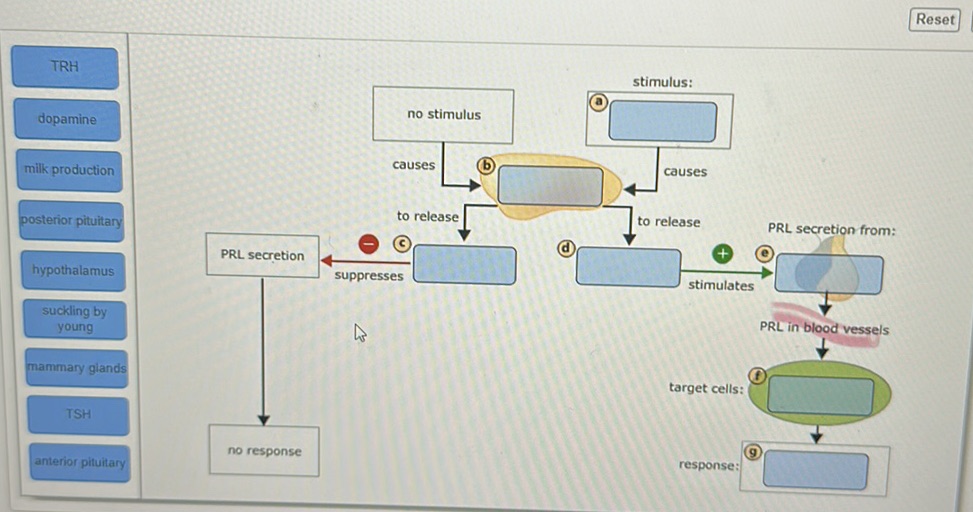 The image is a diagram showing the | StudyX