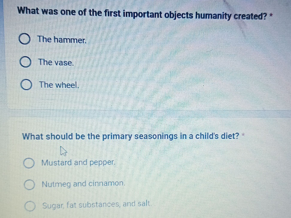 What was one of the first important objects | StudyX