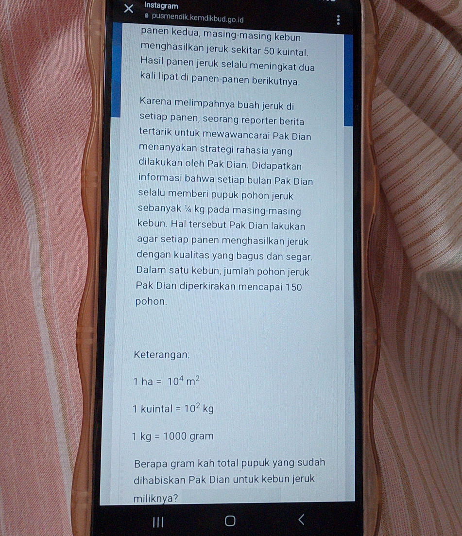 panen kedua, masing-masing kebun | StudyX