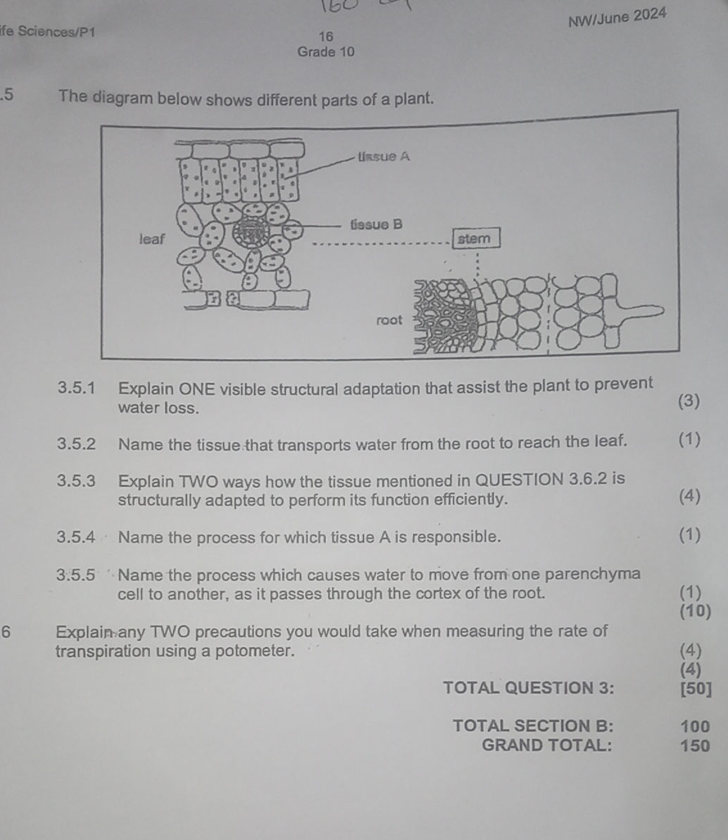 The diagram below shows different parts of a | StudyX