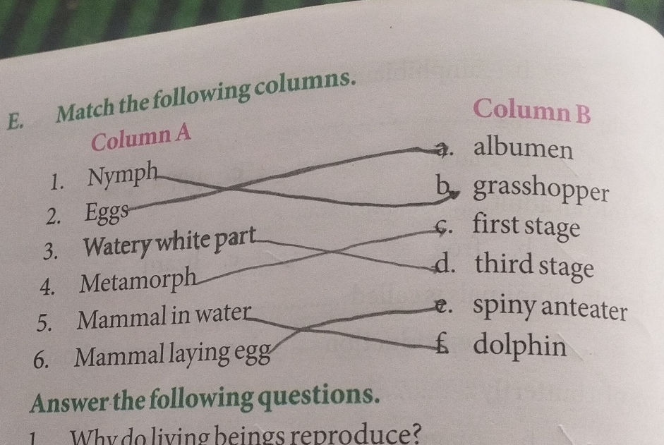 Match the following columns. Column A 1. | StudyX