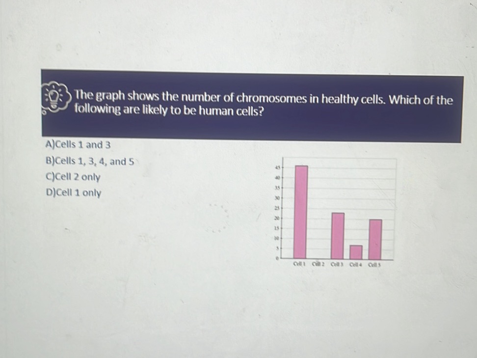 The graph shows the number of chromosomes in | StudyX