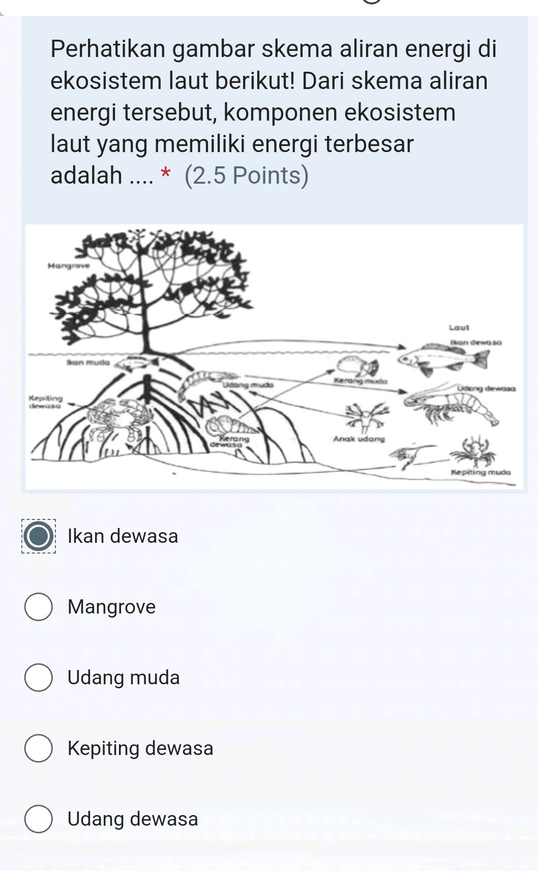 Perhatikan gambar skema aliran energi di | StudyX