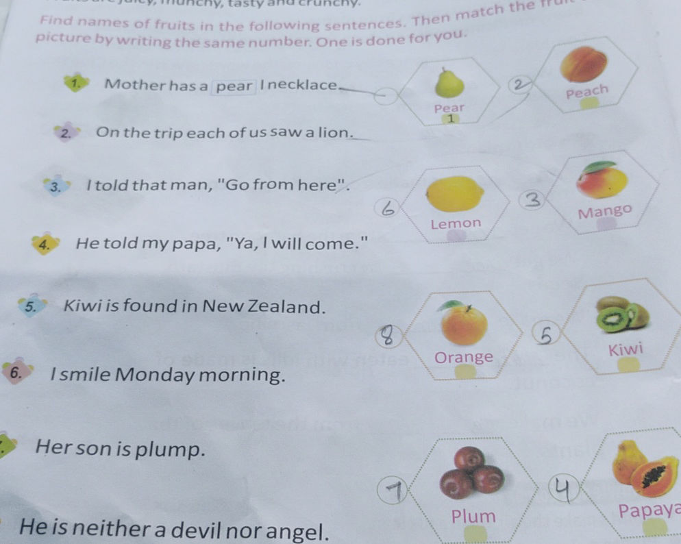 Find names of fruits in the following | StudyX