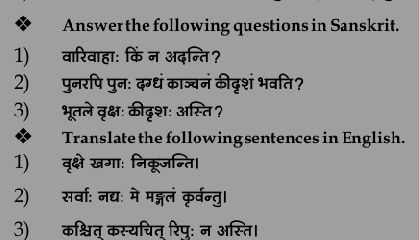 Answer the following questions in Sanskrit. | StudyX