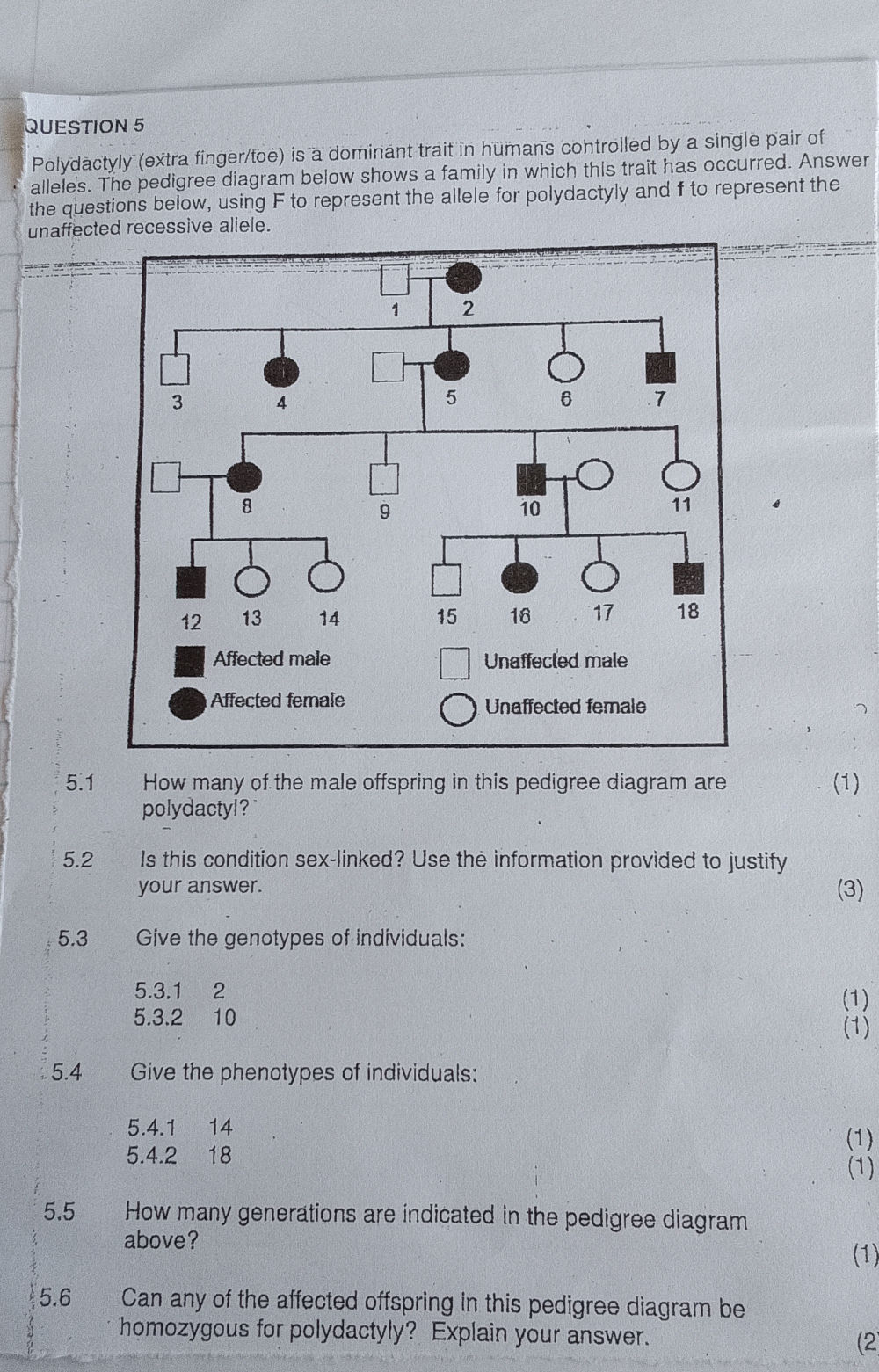 QUESTION 5 Polydactyly (extra finger/toe) is | StudyX